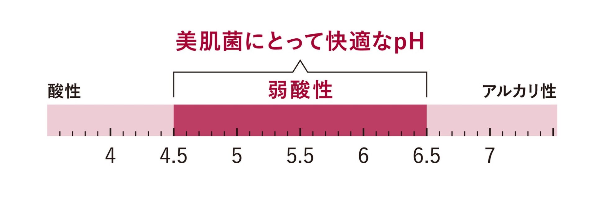 【TUNEMAKERS】美肌菌に着目！「乳酸菌原液」が2022年9月14日新発売。その効果をレポート。 | トレンドお届けメディア Trepo（トレポ