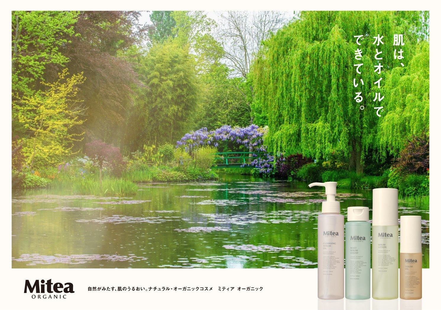【限定発売】Mitea ORGANICからくまのプーさんデザインが新登場！パケ買い必須の可愛すぎるアイテムをお届け。 - トレンドお届け ...