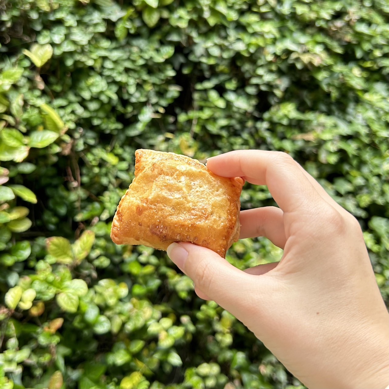 【New Open】きな粉とあんこの専門店「QINA & Co.」が日本橋に誕生！和スイーツ好きさん必見の話題店を詳しくお届け♡ | トレンドお届けメディア Trepo（トレポ