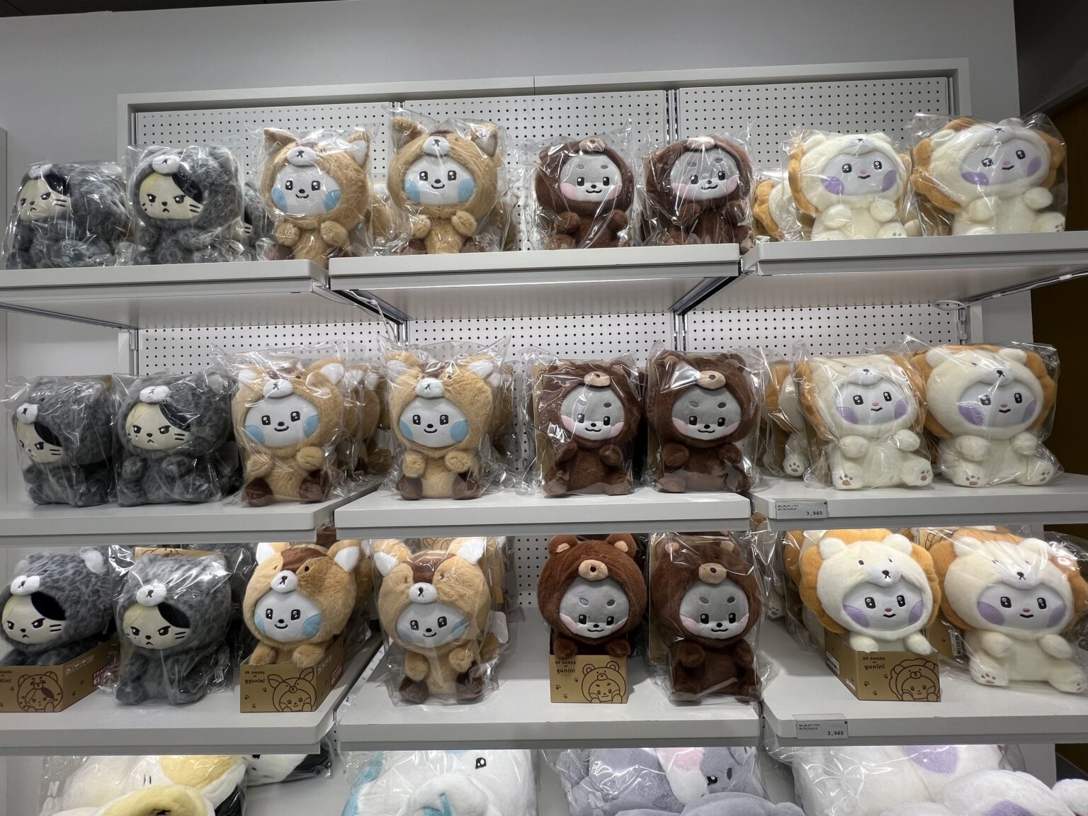 【11月28日（金）から】ZEROBASEONEの公式キャラクター「zeroni」のポップアップが明日スタート！Trepo編集部が一足先に行って来ました♡ - トレンドお届けメディア ...